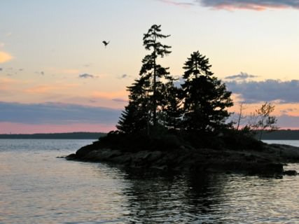 New Johari Window.Quad Four.Bergquist | Library of Professional Coaching